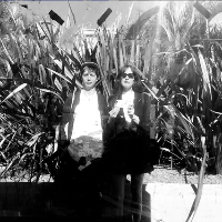 Venus on the Half Shell Tickets | Tour Dates & Upcoming Events 2025 / 2026